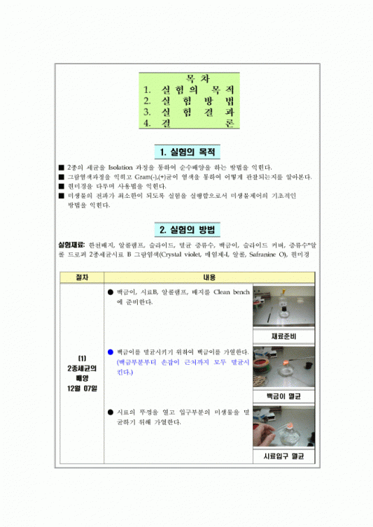 (미생물학)그람염색