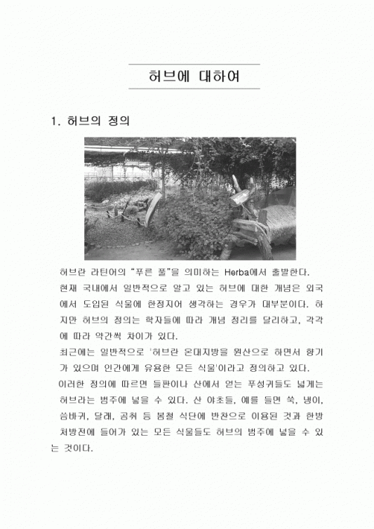 냄새나는 풀 허브 자료집