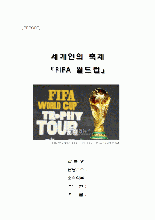 FIFA 월드컵 레포트 자료