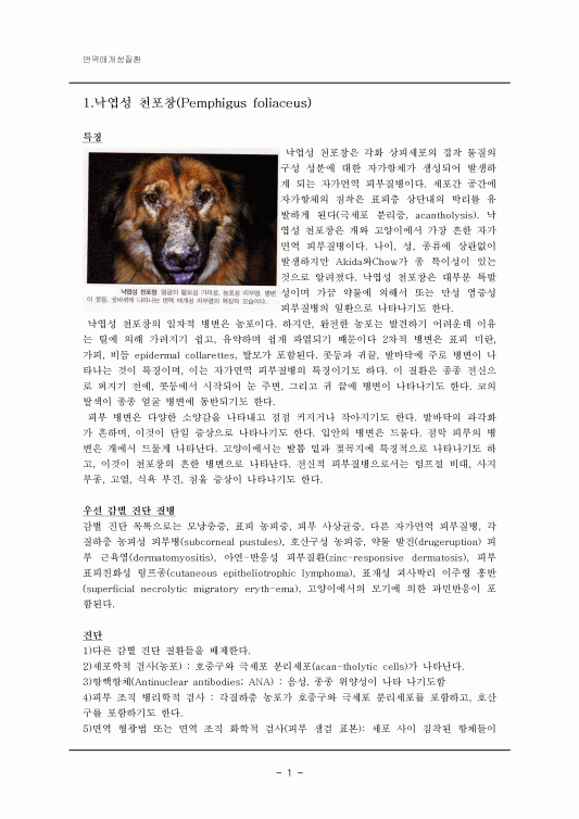 개와 고양이의 면역매개 피부질환