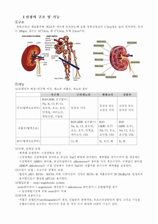 신부전(CRF) 병태생리, 치료 및 투석환자 간호