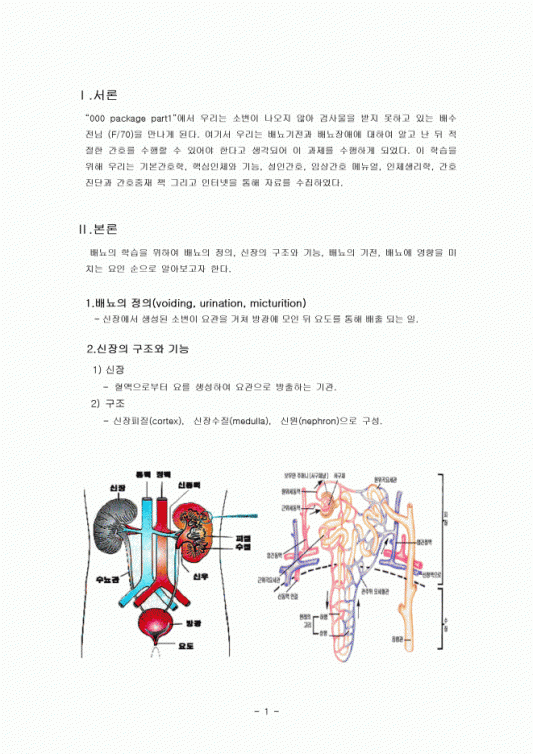 배뇨관리에 관한 reprot 입니다.