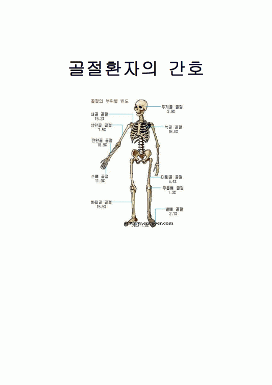 골절환자의 간호