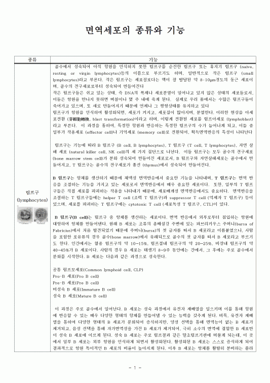 면역세포의 종류와 기능