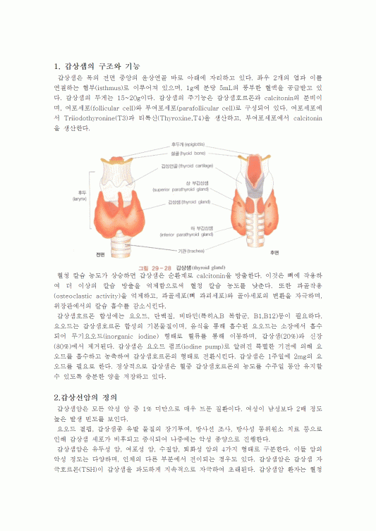 Thyroid cancer 갑상샘암 갑상선암 갑상선