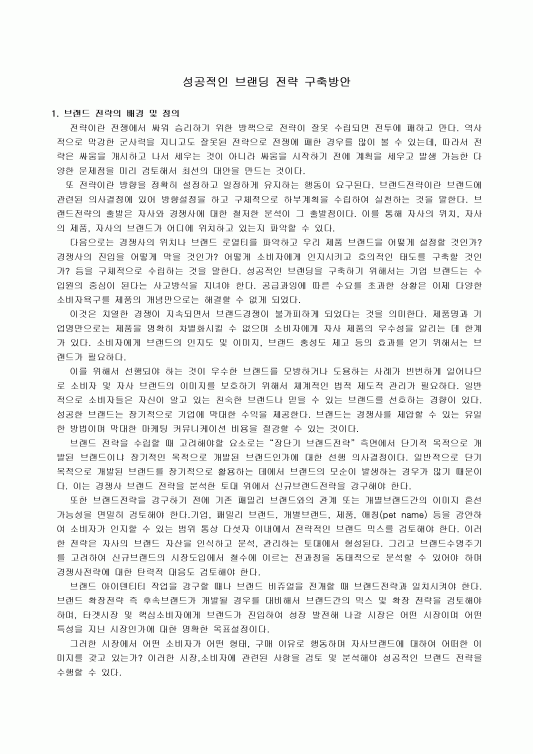 성공적인 브랜딩 전략 구축방안