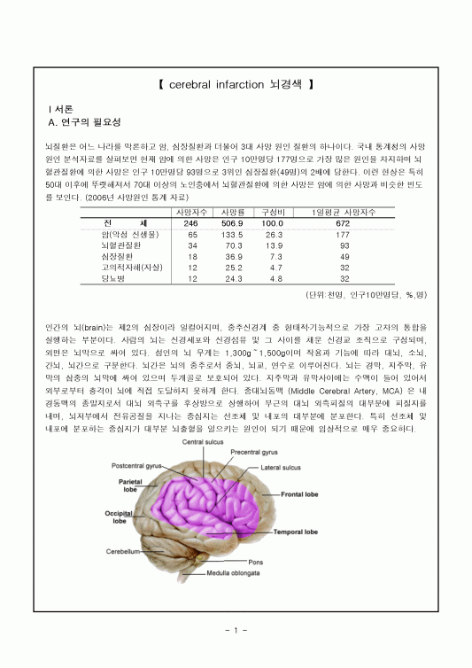 뇌경색 case study