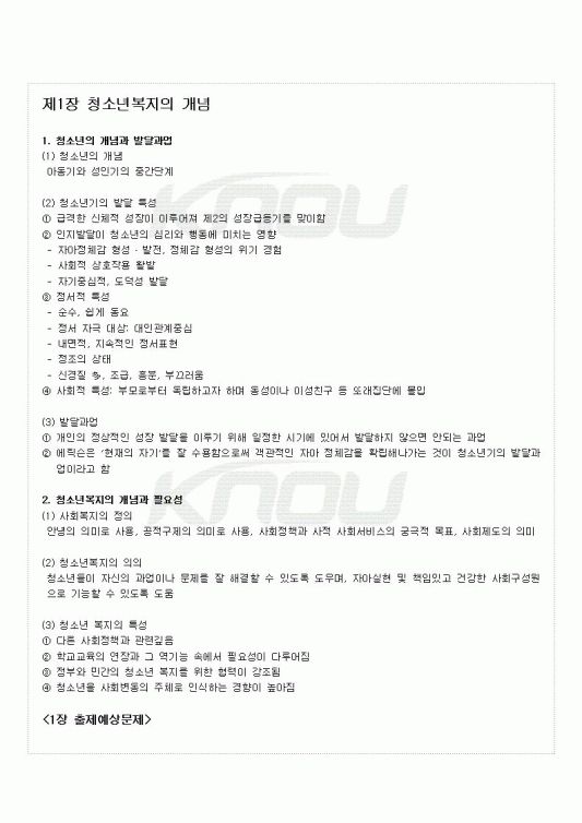 2010년 2학기 청소년복지 출석대체시험 핵심체크