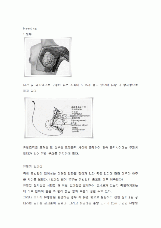 유방암 간호진단[breast ca]