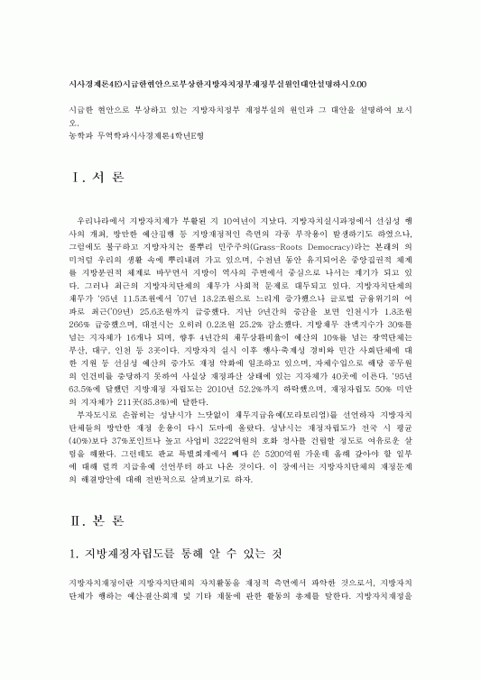 시사경제론4E)시급한현안으로부상한지방자치정부재정부실원인대안설명00