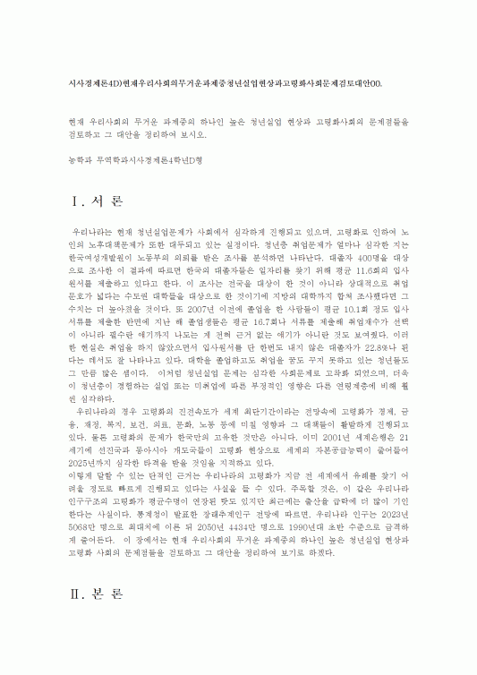 시사경제론4D)현재우리사회의무거운과제중청년실업현상과고령화사회문제검토대안00.