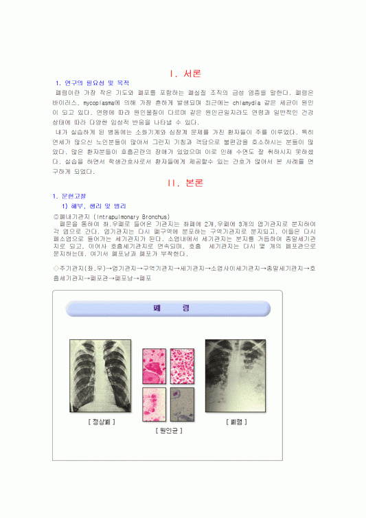 폐렴에 관한 실습 보고서.
