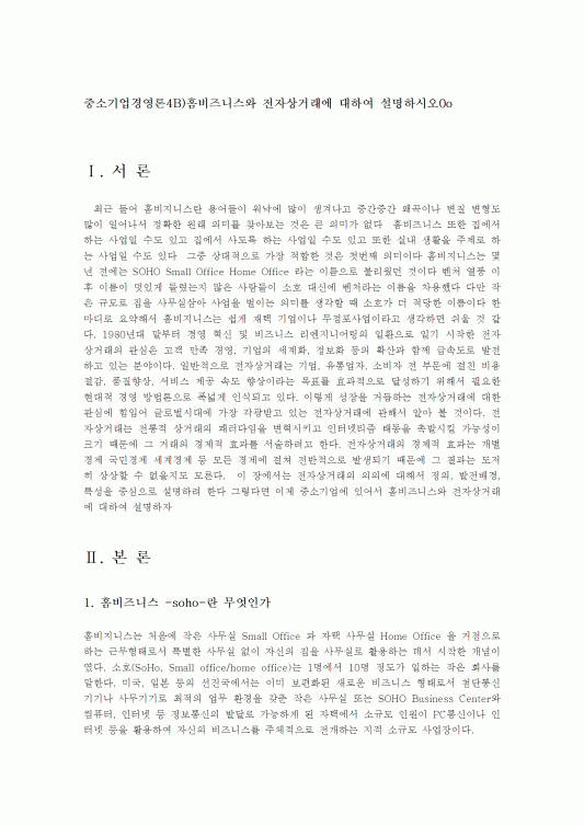 중소기업경영론4B)홈비즈니스와 전자상거래에 대하여 설명0o
