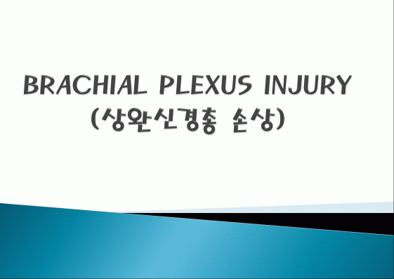Brachial plexus injury(상완신경총 손상)