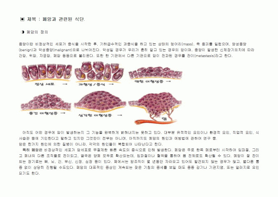 영양학 환자 식단