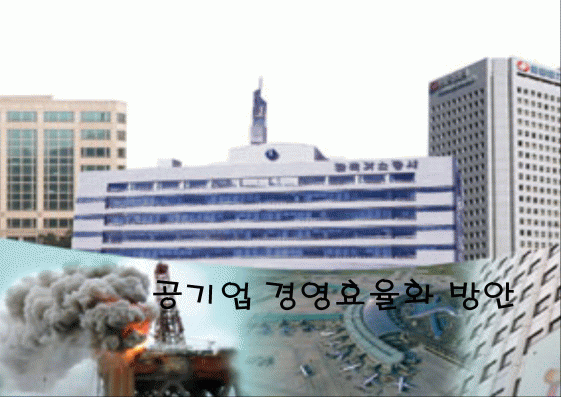 공기업 경영효율화 방안