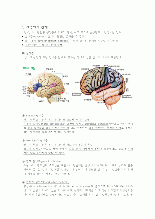 뇌졸중 환자의 언어재활