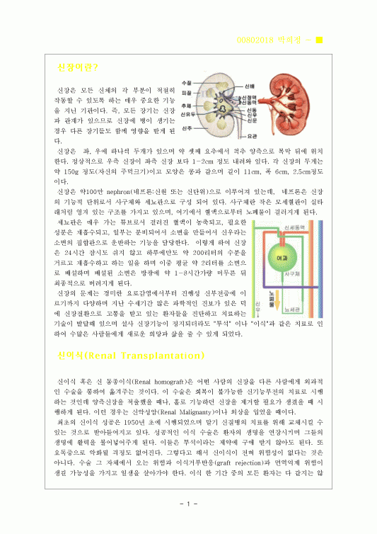 [간호] 신장이식