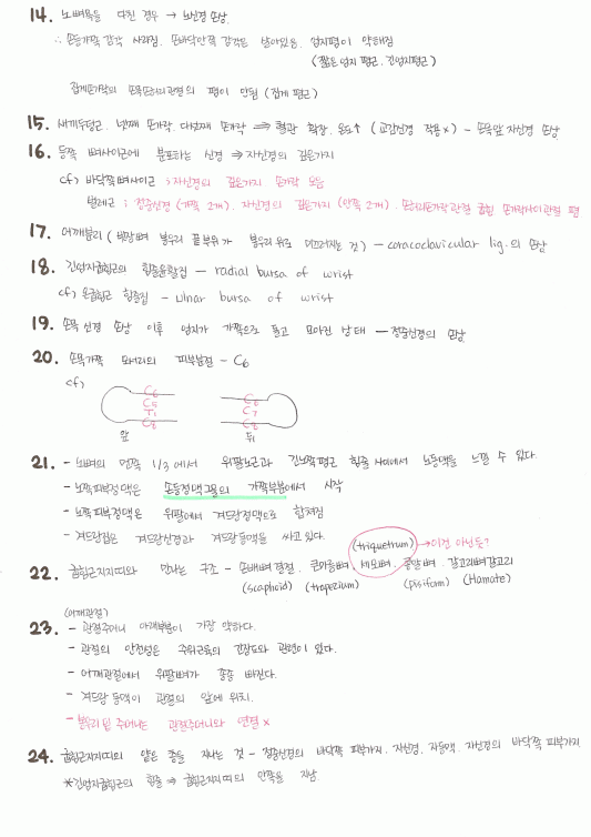 관동대 의학과 해부학 족보 정리.[2차시험]