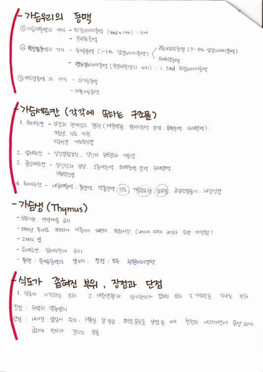 관동대 의학과 해부학 족보 정리.[4차시험]
