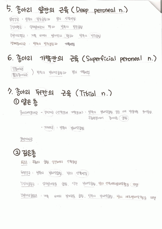 관동대 의학과 해부학 족보 정리.[6차시험]