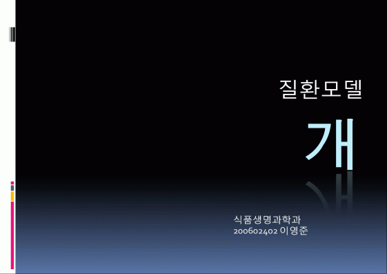 개(질환모델) 레포트 자료