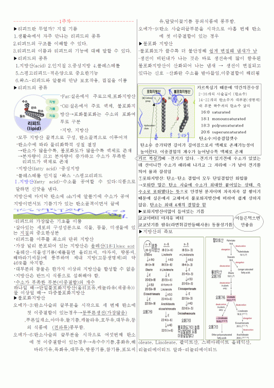 리피도 건강 1~7주차 타이핑입니다.