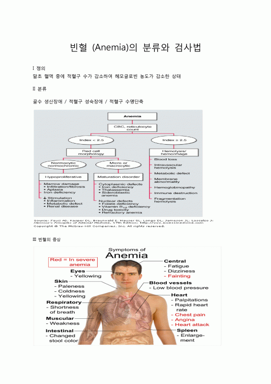 빈혈 (Anemia)의 분류와 검사법