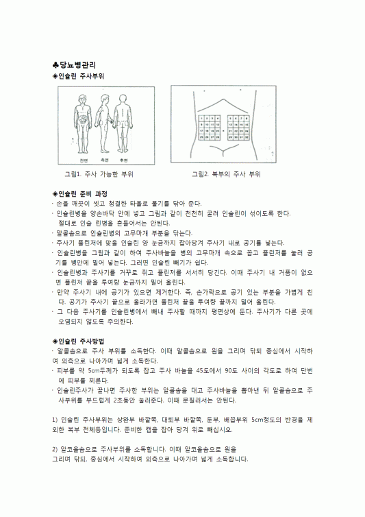인슐린 식이교육