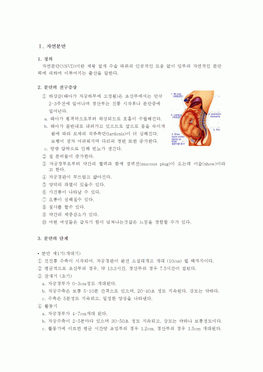 자연분만 문헌고찰