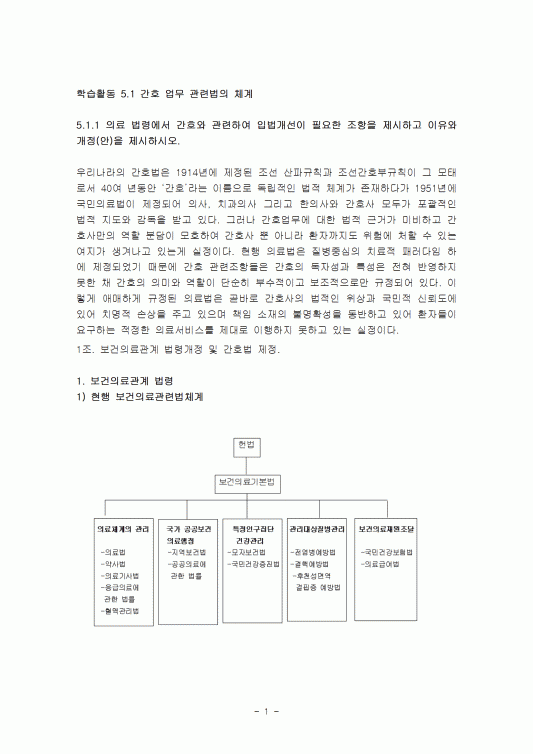 간호법 제정 레포트 자료