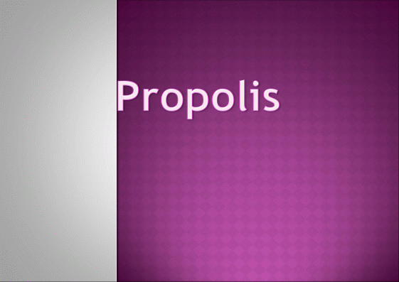 프로폴리스(Propolis)