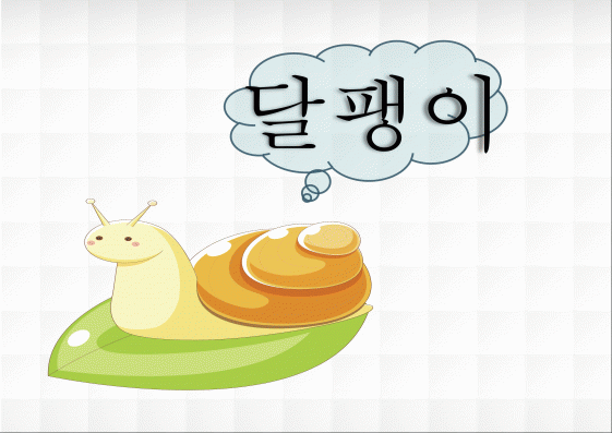 달팽이의 특징 및 효능