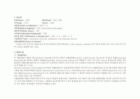 [간호학]뇌출혈