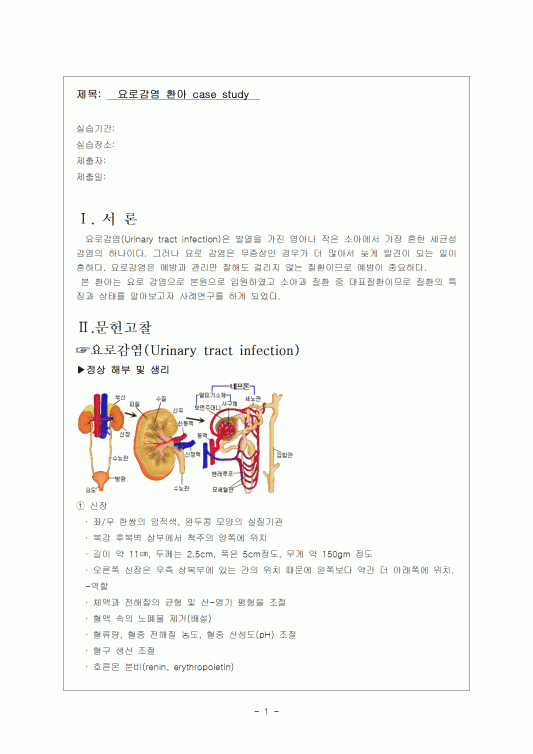 [간호학]요로감염(Urinary tract infection)