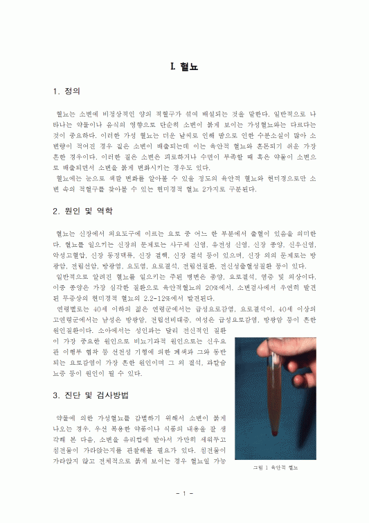 혈뇨, 단백뇨 그리고 만성 신부전에 대한 고찰