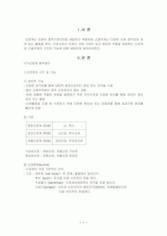 신경계 해부생리