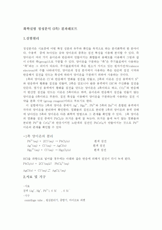 화학실험정성분석result