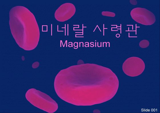 마그네슘(Magnasium) -미네랄 사령관