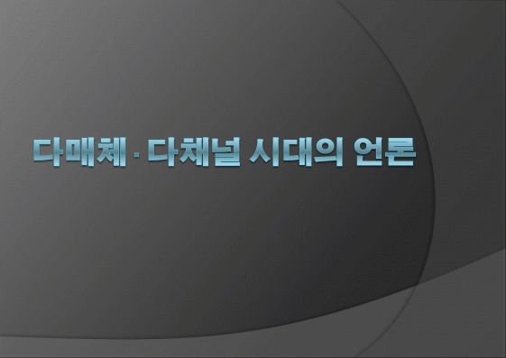 다매체 · 다채널 시대의 언론