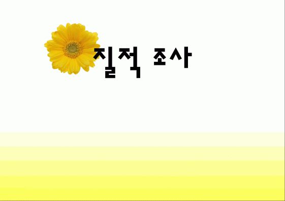 질적 조사 레포트 자료