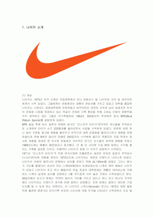 나이키(NIKE)의 마케팅 성공사례