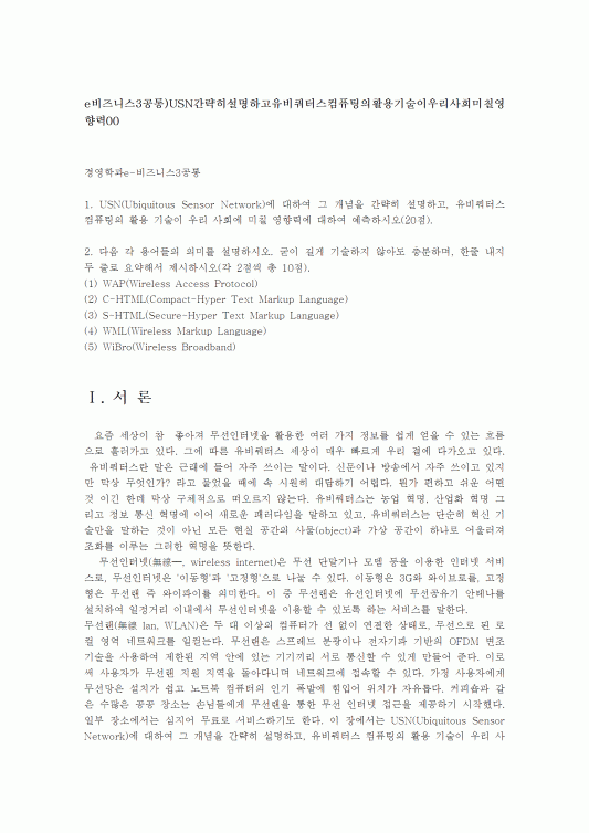 비즈니스3공통)USN간략히설명하고유비쿼터스컴퓨팅의활용기술이우리사회미칠영향력00