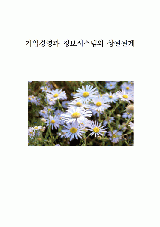 기업경영과 정보시스템의 상관관계