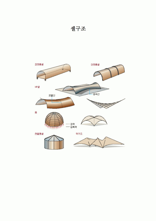셀구조 레포트 자료