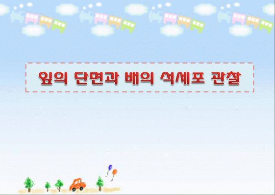 생물학실험(잎의 단면과 배의 석세포 관찰)