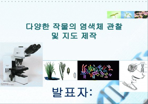 다양한 작물의 염색체 관찰 및 지도 제작