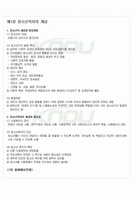 2011년 2학기 청소년복지 출석대체시험 핵심체크