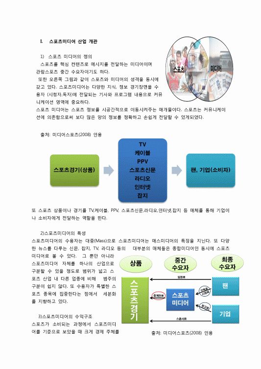 [스포츠 미디어 산업 분석]스포츠 미디어 산업의 현황과 문제점 및 스포츠 미디어산업의 발전방향[2012년 추천]
