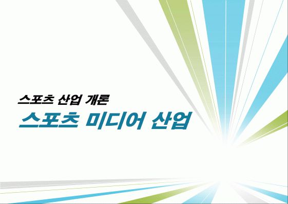 스포츠 미디어산업,스포츠 미디어 산업의 현황과 문제점 및 발전방향